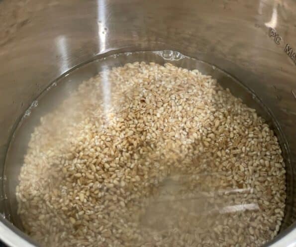 How To Cook Barley in Instant Pot • Simple Sumptuous Cooking
