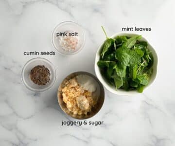 Mint Juice (Pudina Sherbet) • Simple Sumptuous Cooking