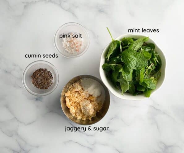 Mint Juice (Pudina Sherbet) • Simple Sumptuous Cooking