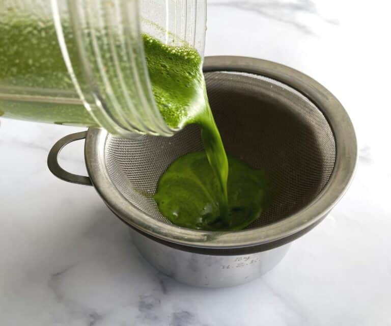 Mint Juice (Pudina Sherbet) • Simple Sumptuous Cooking