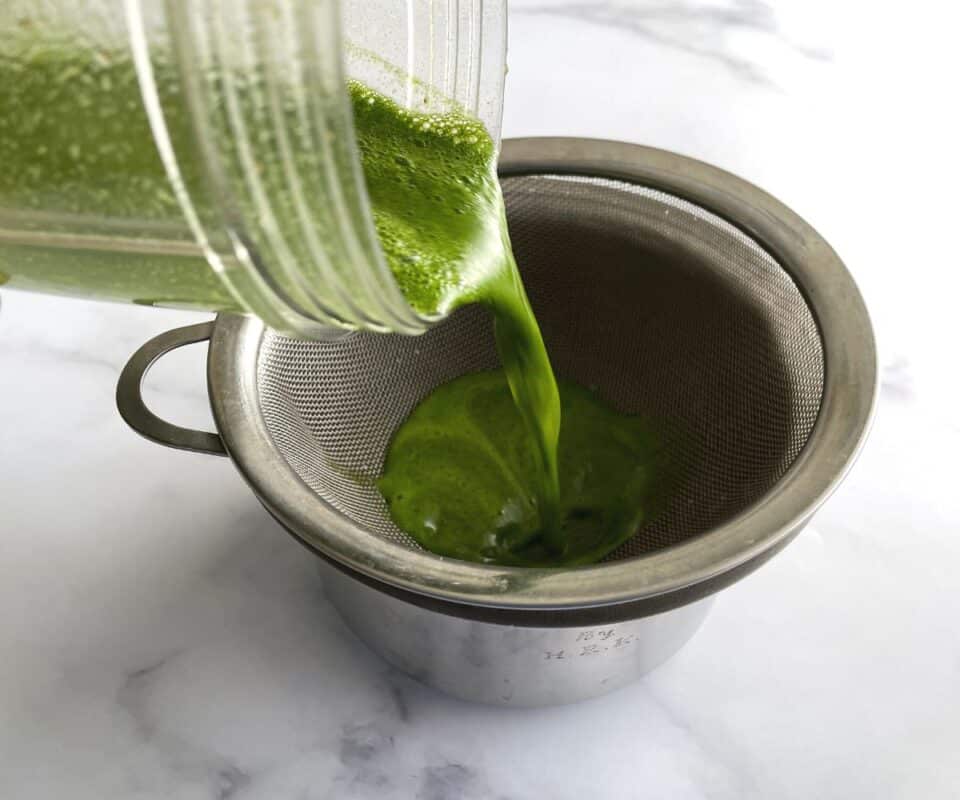 Mint Juice (Pudina Sherbet) • Simple Sumptuous Cooking